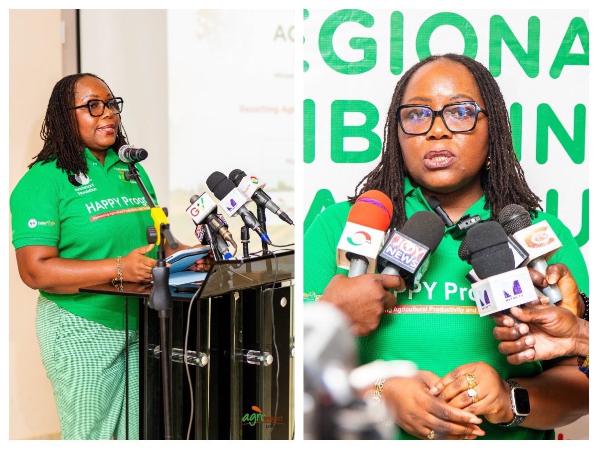 Ghana Must Turn Agribusiness Potential into Productivity — Agri-Impact ...